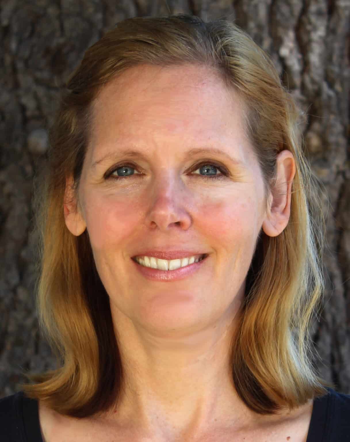 YSA Monthly Meeting and Demo with Cathy Balach | Yosemite Sierra Artists